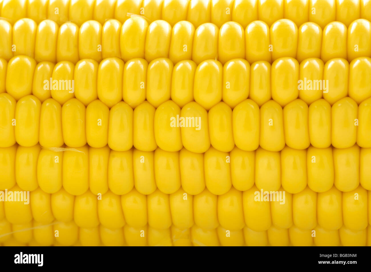 Close-up of a corn Stock Photo - Alamy