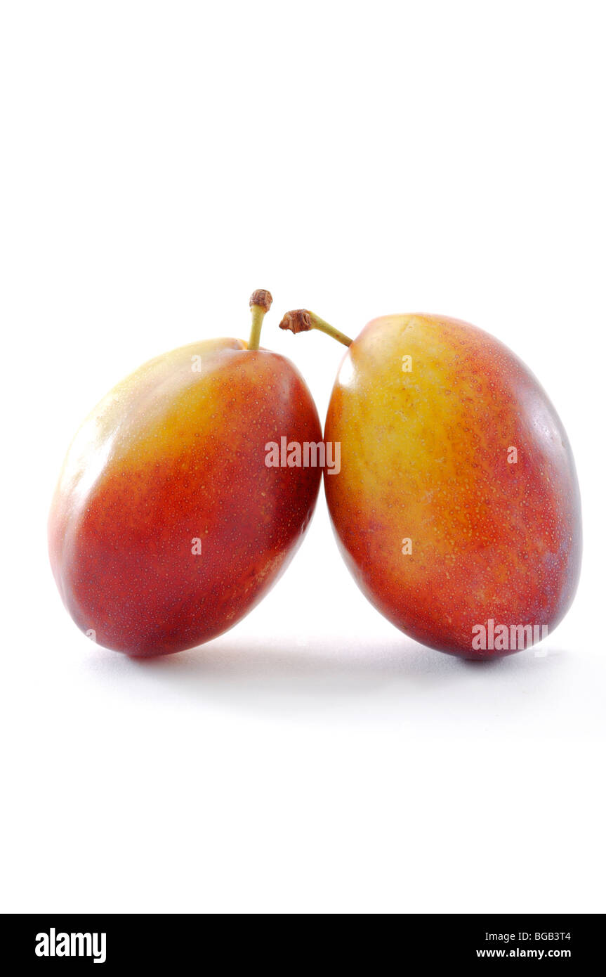Close-up of mangoes Stock Photo - Alamy