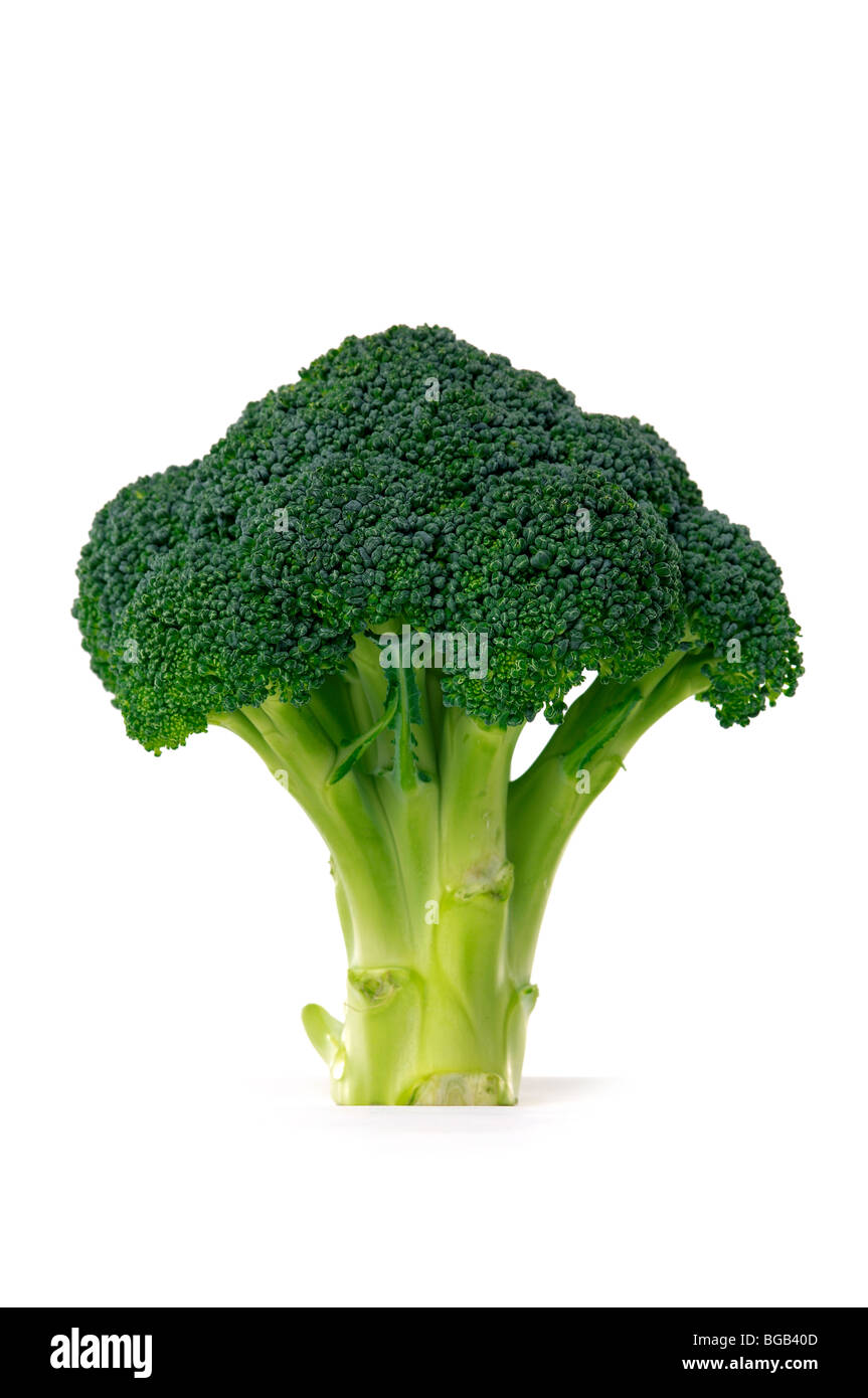 Close-up of a broccoli Stock Photo - Alamy