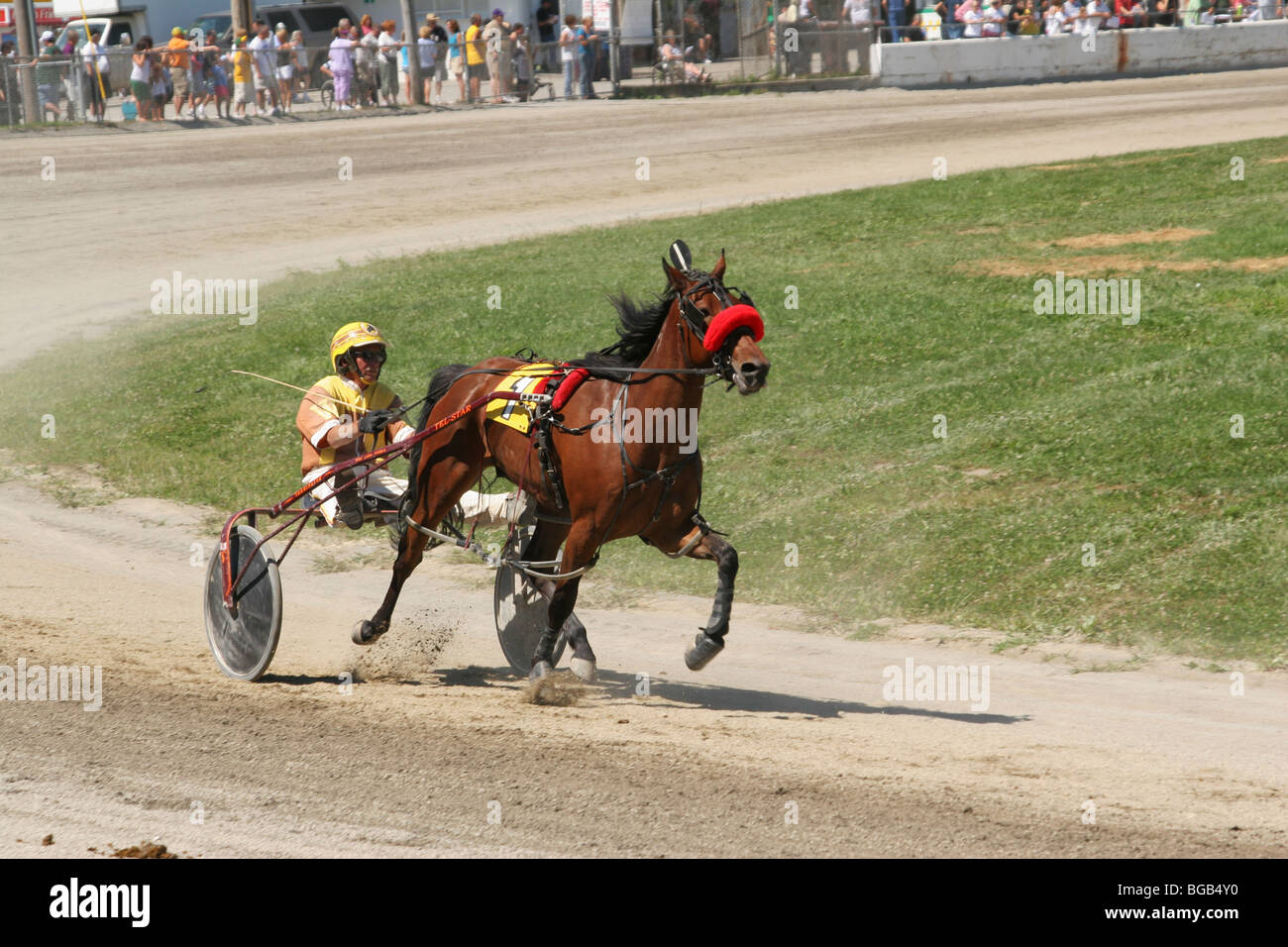Horse cart racing america hi-res stock photography and images - Alamy