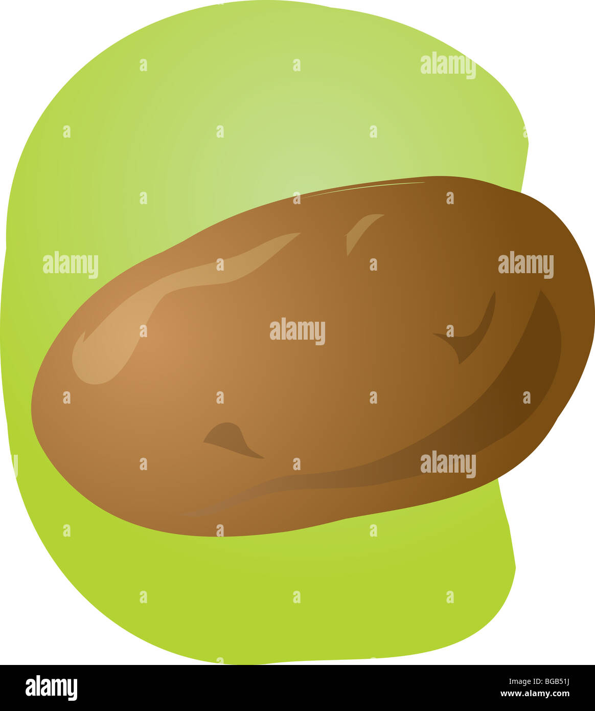 Sketch of a potato. Hand-drawn lineart look illustration Stock Photo ...