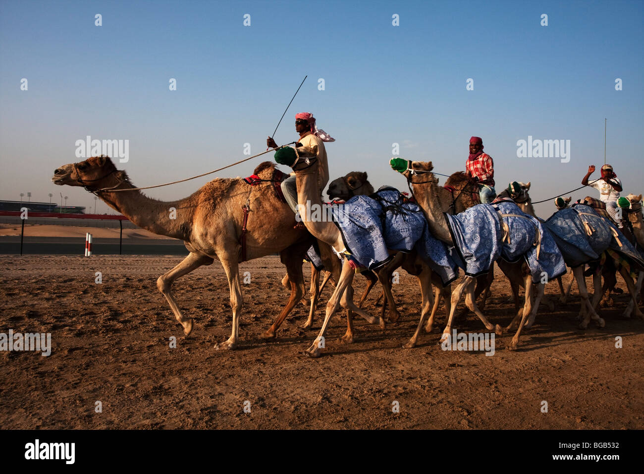 Camel racing hi-res stock photography and images - Alamy