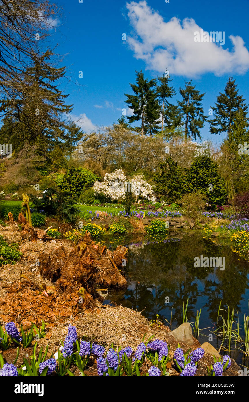 Queen elizabeth park vancouver hi-res stock photography and images - Alamy