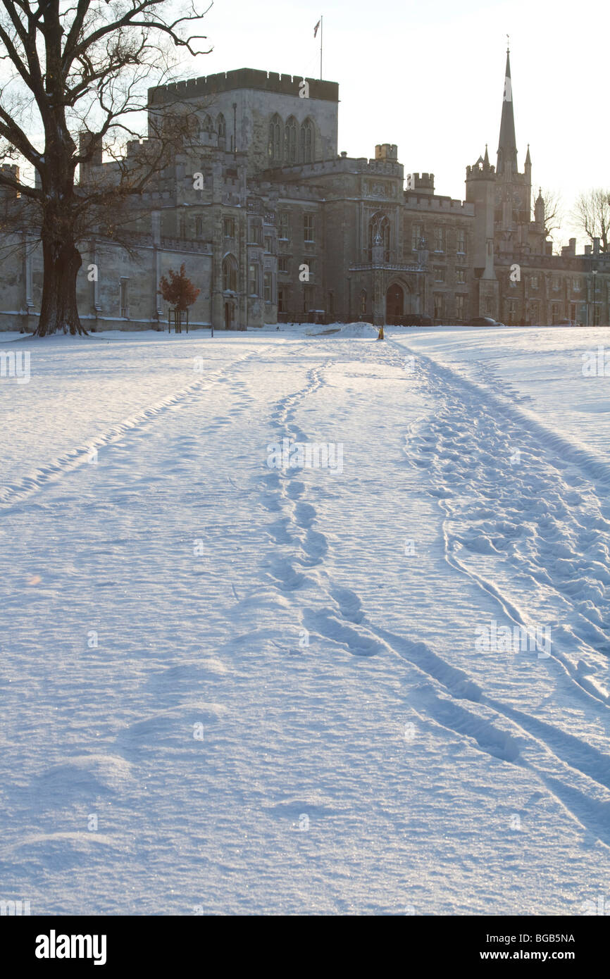 The college of estate management hi-res stock photography and images ...
