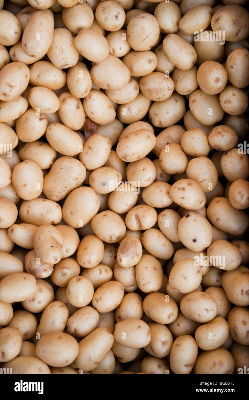 New potatoes at the market Stock Photo - Alamy