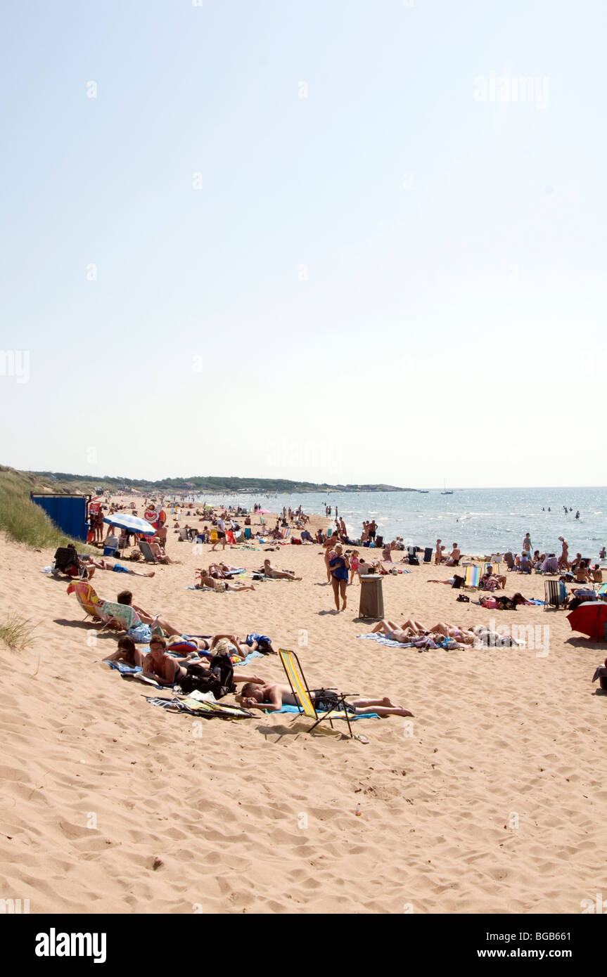 halmstad tylosand beach beaches sweden swedish baltic sea sunbathing sunbathers sun bathing ...