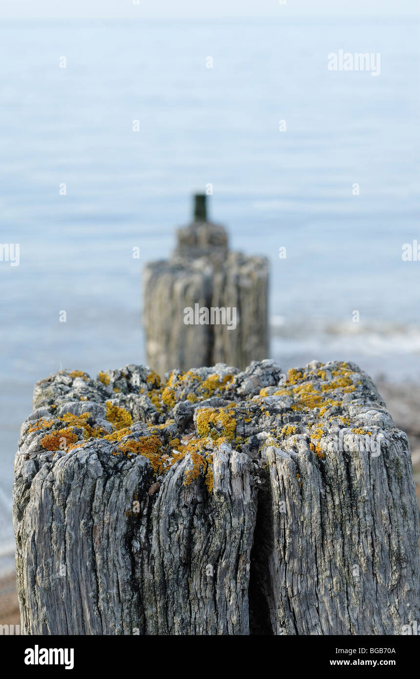 Gryone hi-res stock photography and images - Alamy