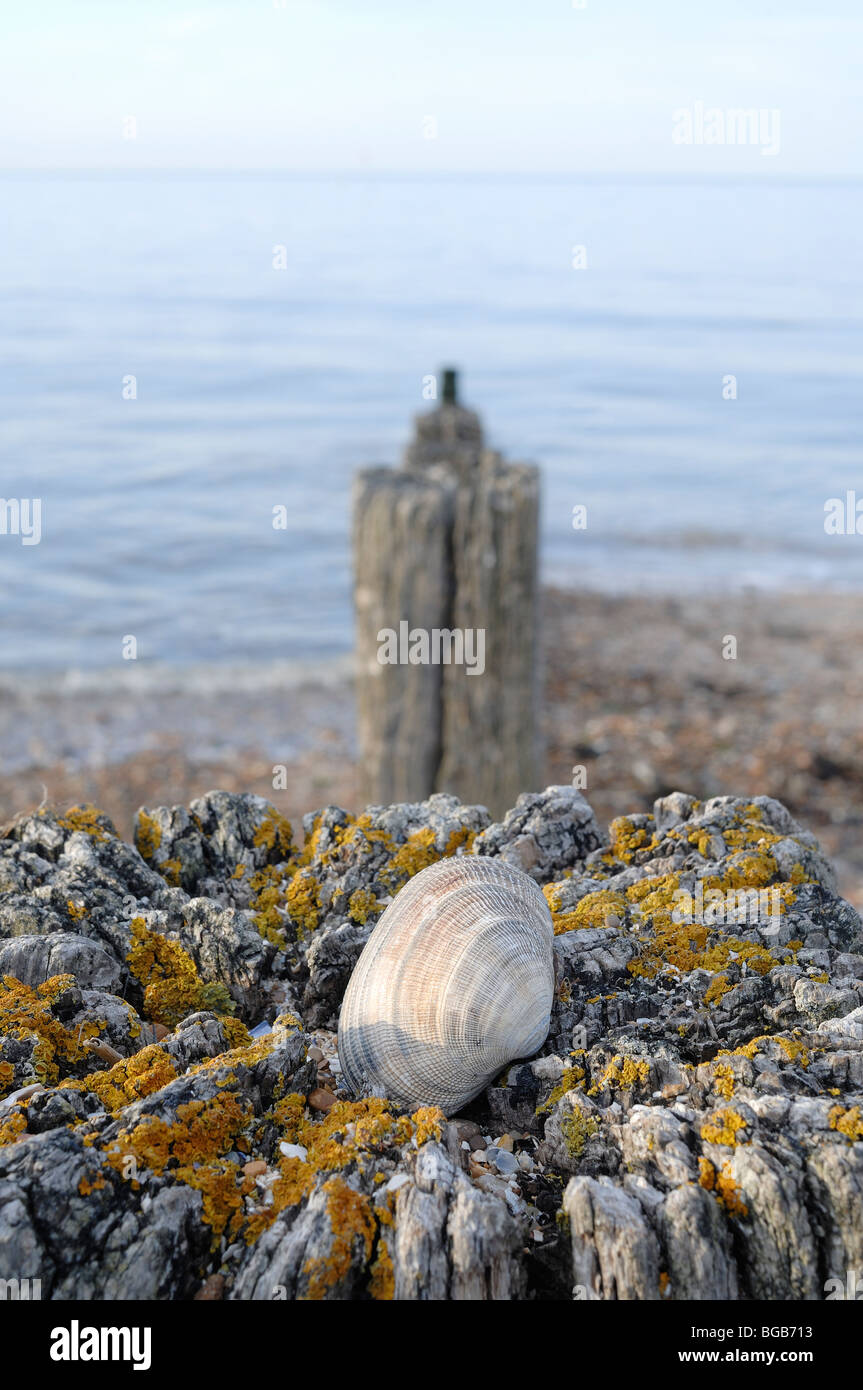 Gryone hi-res stock photography and images - Alamy
