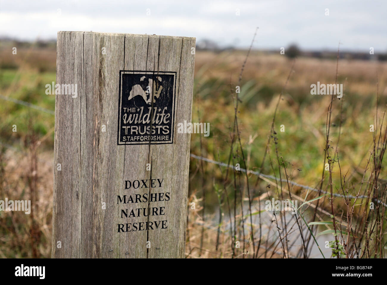 Doxey marshes nature reserve hi-res stock photography and images - Alamy