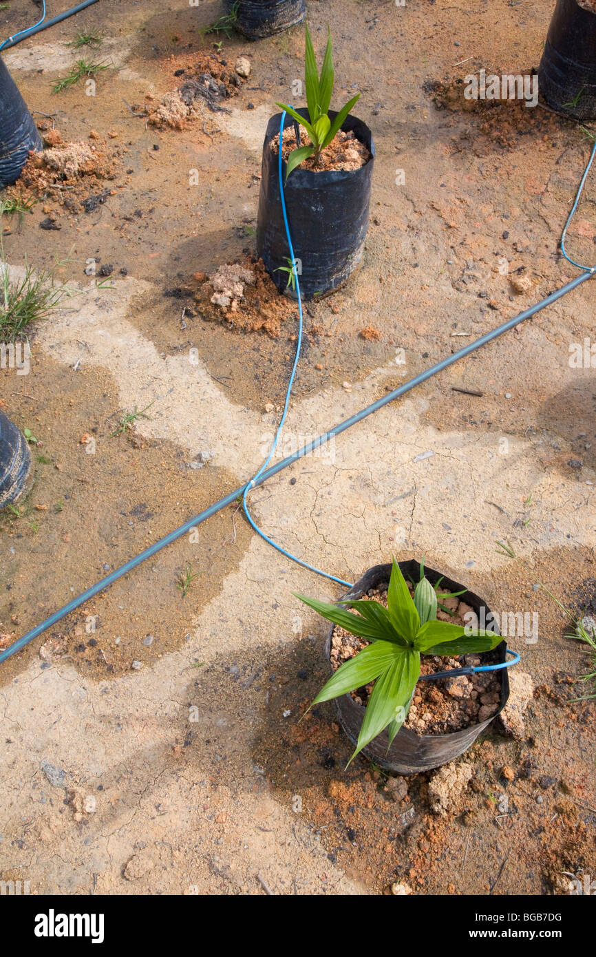 Preventing erosion hi-res stock photography and images - Alamy