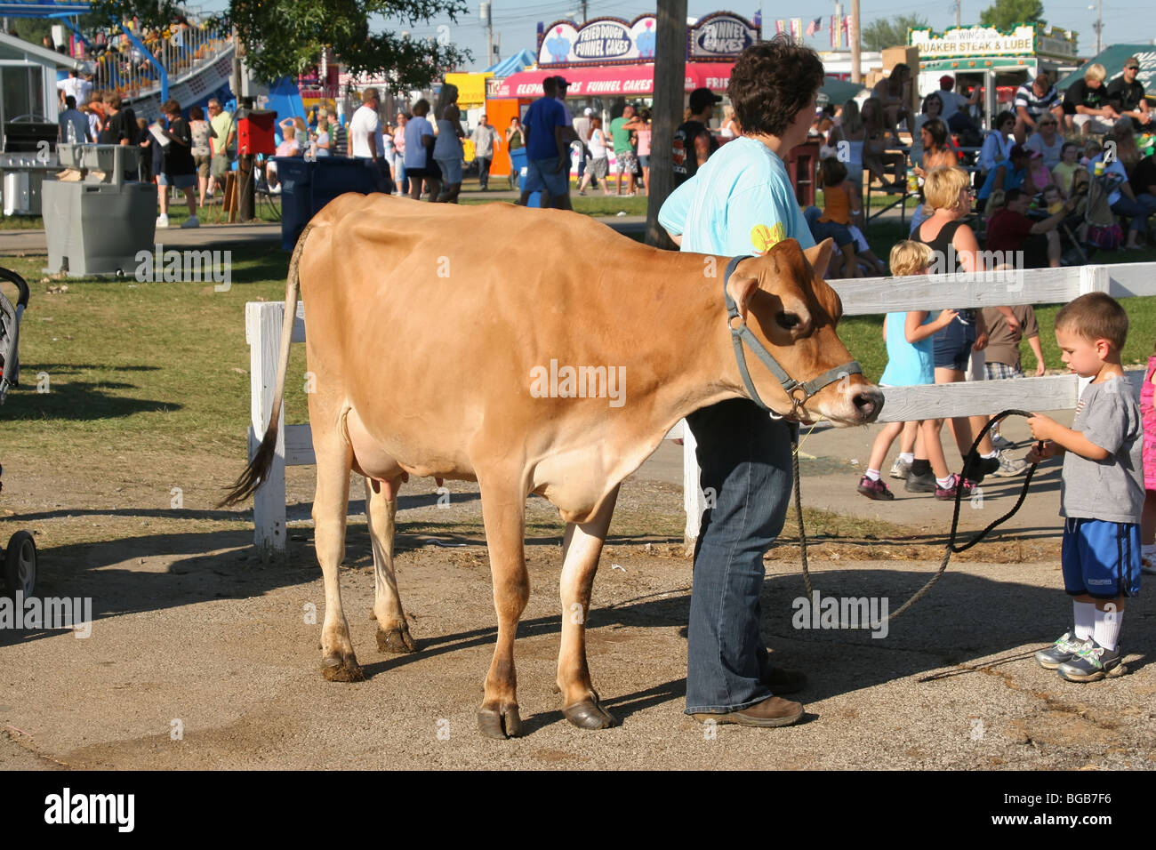 Dairy cow and people hi-res stock photography and images - Alamy