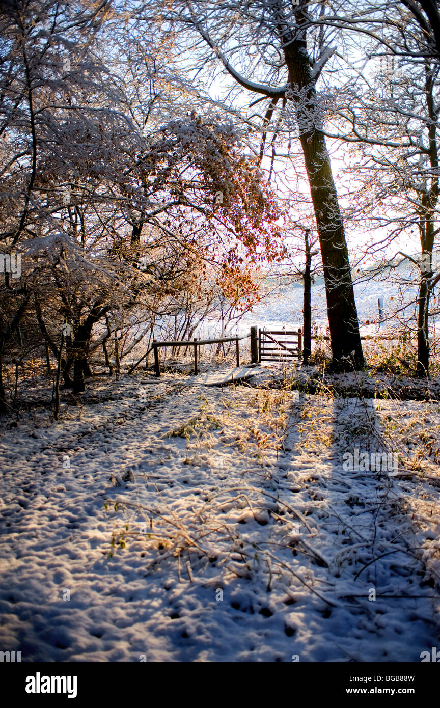 Snowfall weather hi-res stock photography and images - Alamy