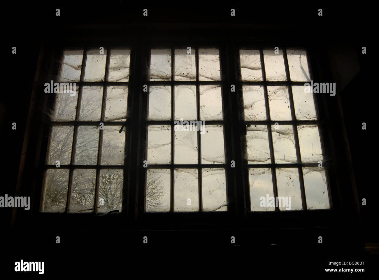 cobwebs on a window Stock Photo - Alamy