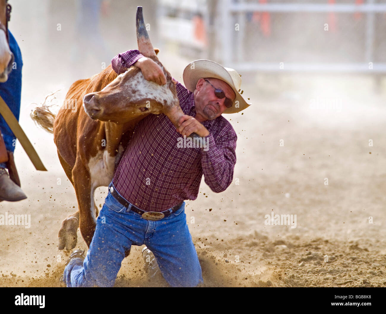 CANADA Alberta Raymond Stock Photo - Alamy
