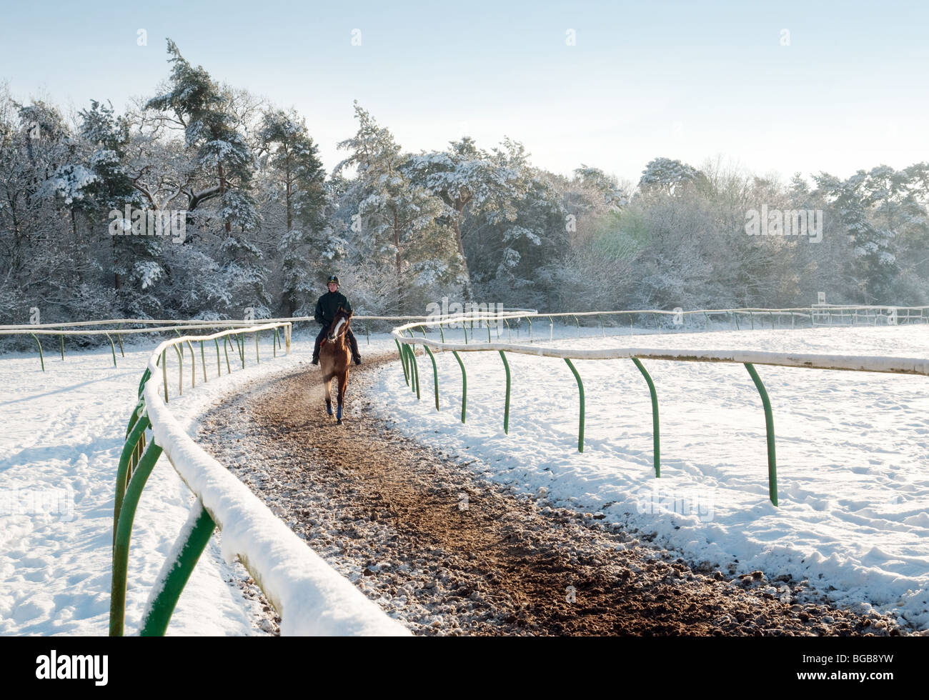 Suffolk Horse In The Snow High Resolution Stock Photography and Images ...