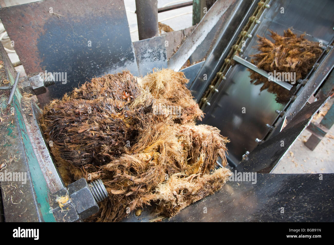 Empty fruit bunches hi-res stock photography and images - Alamy