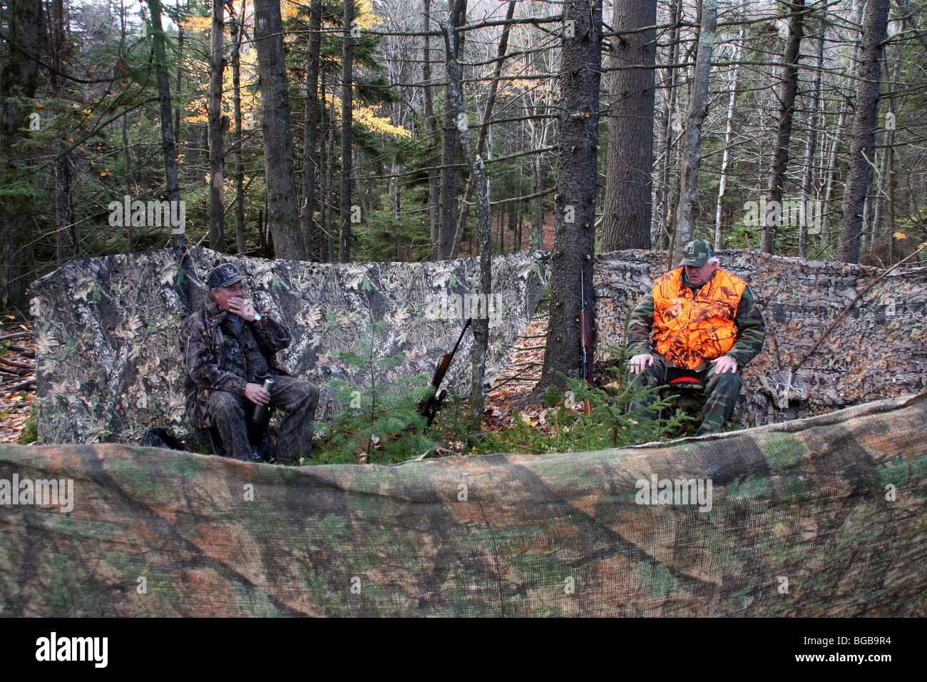 20097798 hi-res stock photography and images - Alamy