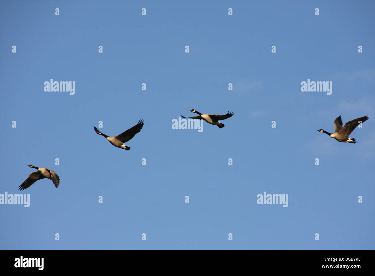 Stages of flight hi-res stock photography and images - Alamy