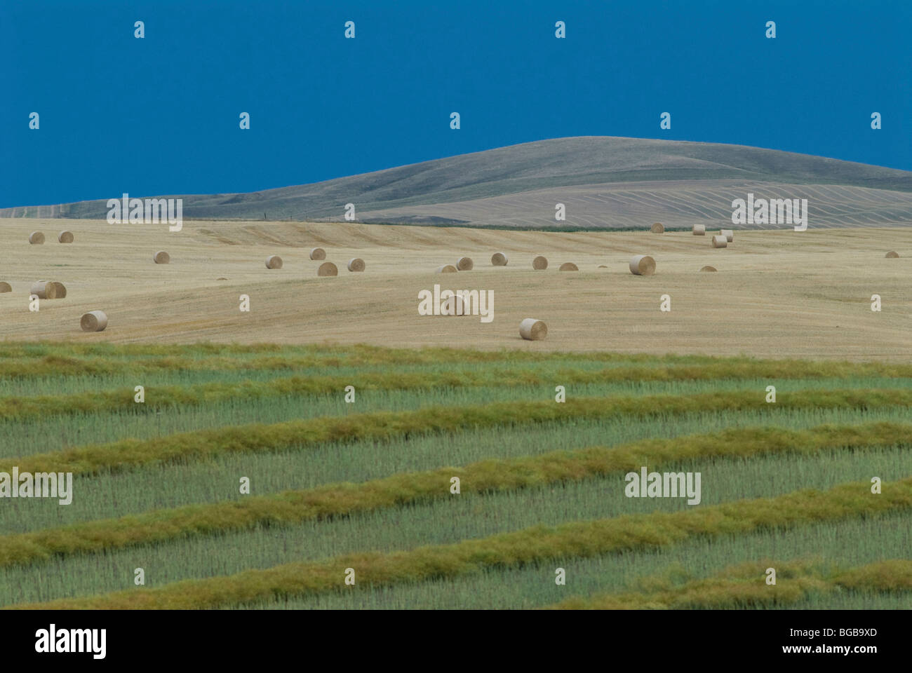 CANADA Alberta Cardston Stock Photo - Alamy