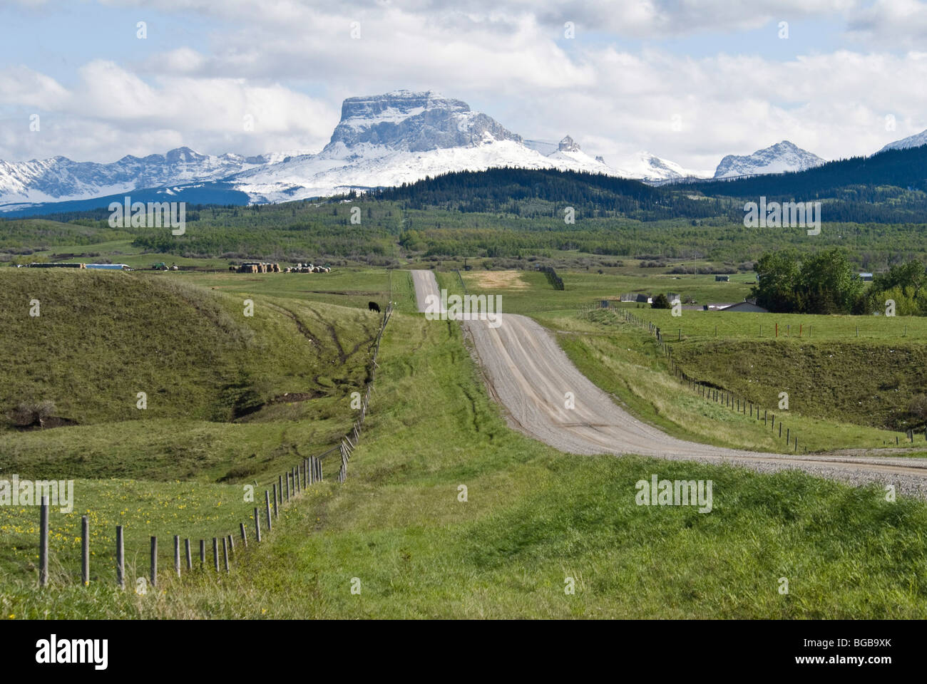 CANADA Alberta Farmland Stock Photo - Alamy
