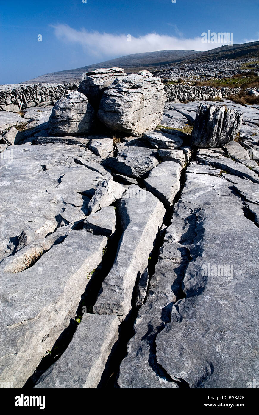Ireland, County Clare, The Burren, limestone pavement with grykes and ...