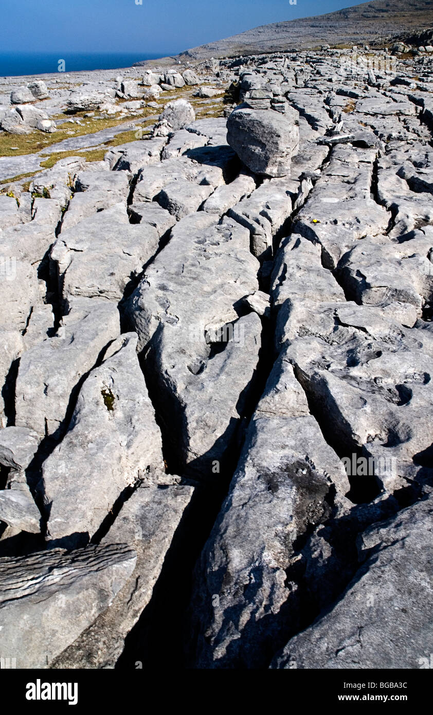 Ireland, County Clare, The Burren, Karst Limestone Pavement section ...
