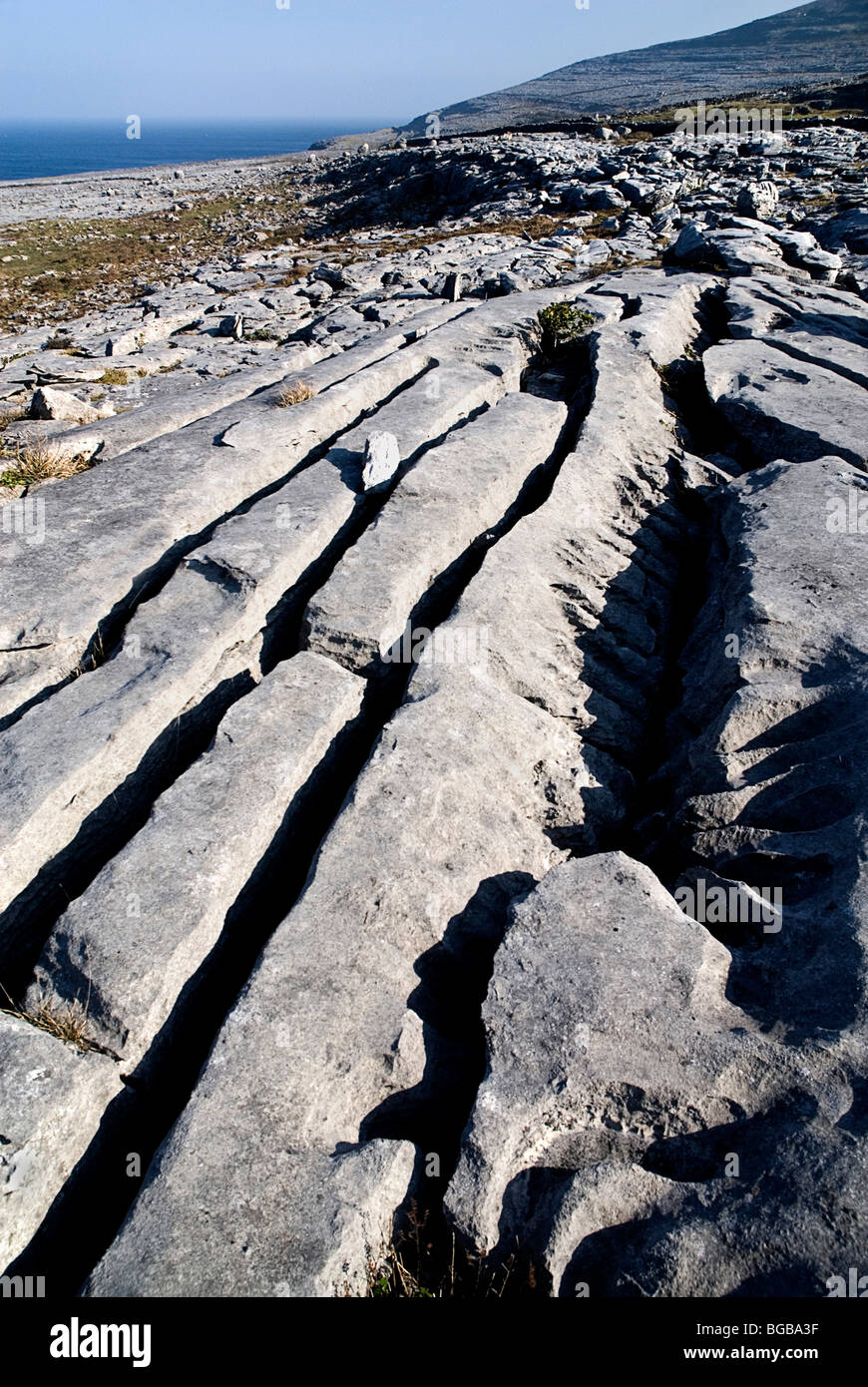 Ireland, County Clare, The Burren, limestone pavement sections with ...
