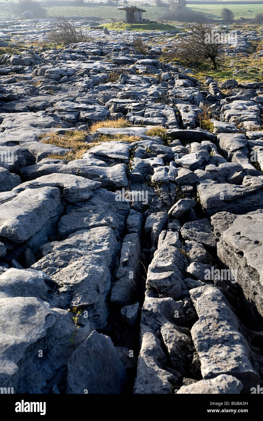 Ireland, County Clare, The Burren, karstic limestone pavement with ...