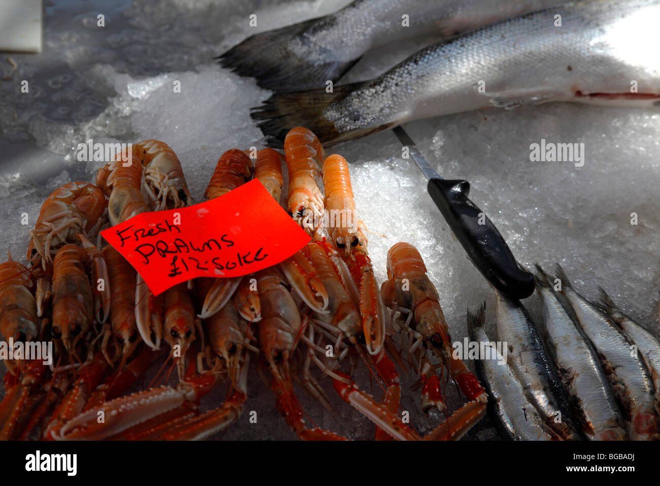 Friday fish hi-res stock photography and images - Alamy