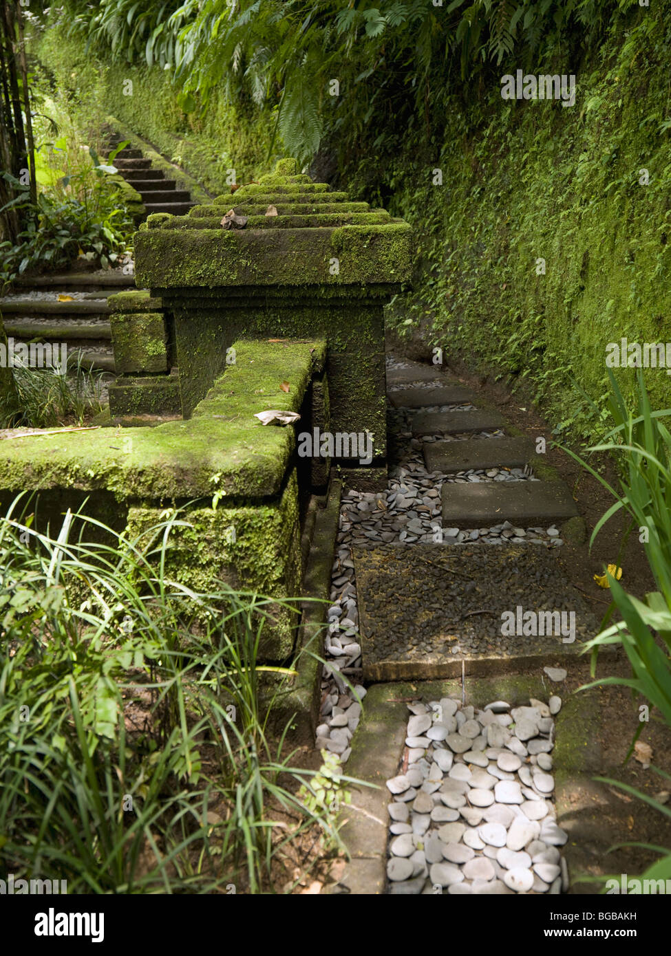 Como Shambhala Estate, Bali, Indonesia; Moss-Covered Path Stock Photo ...