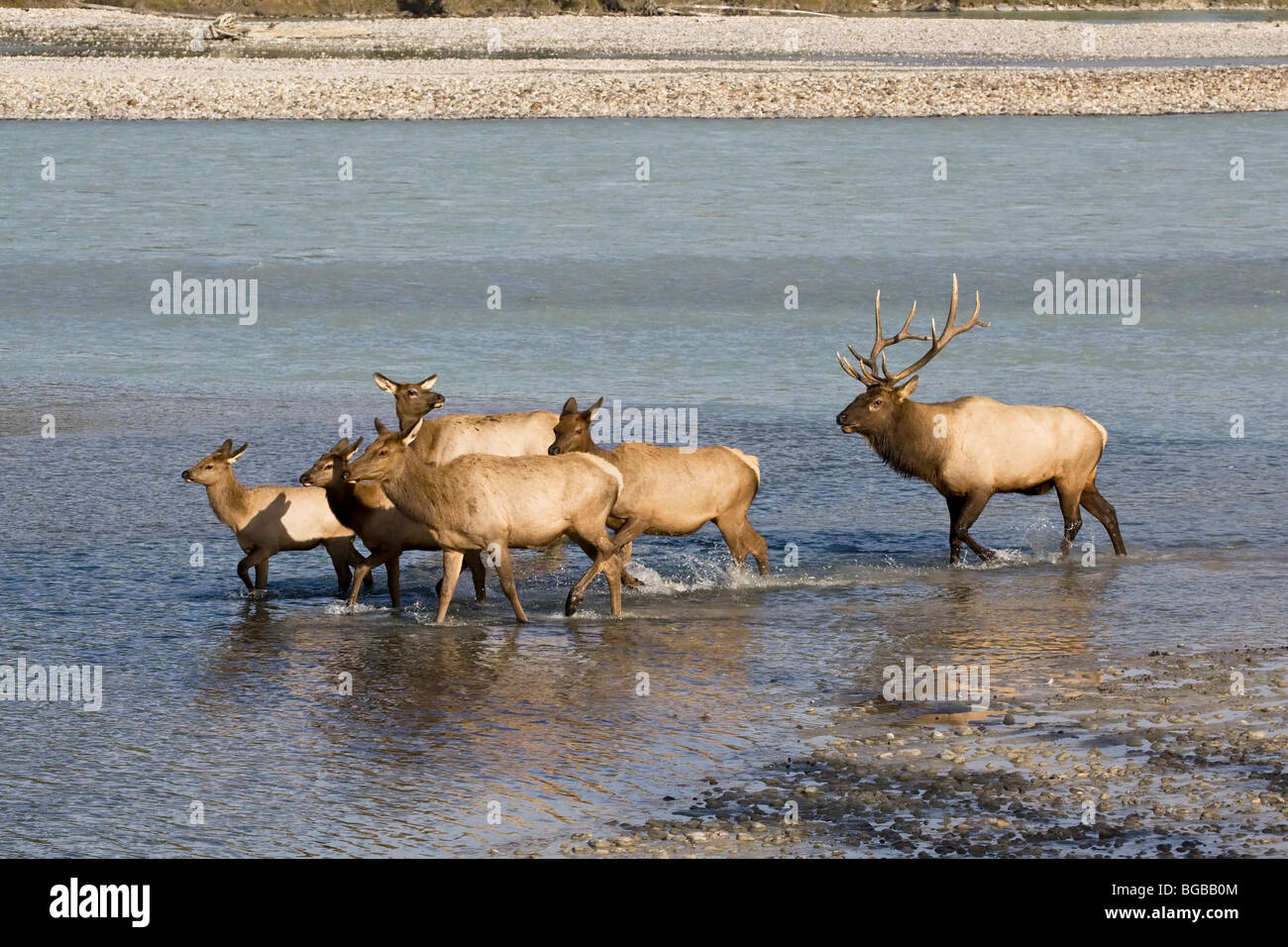 National escort group hi-res stock photography and images - Alamy