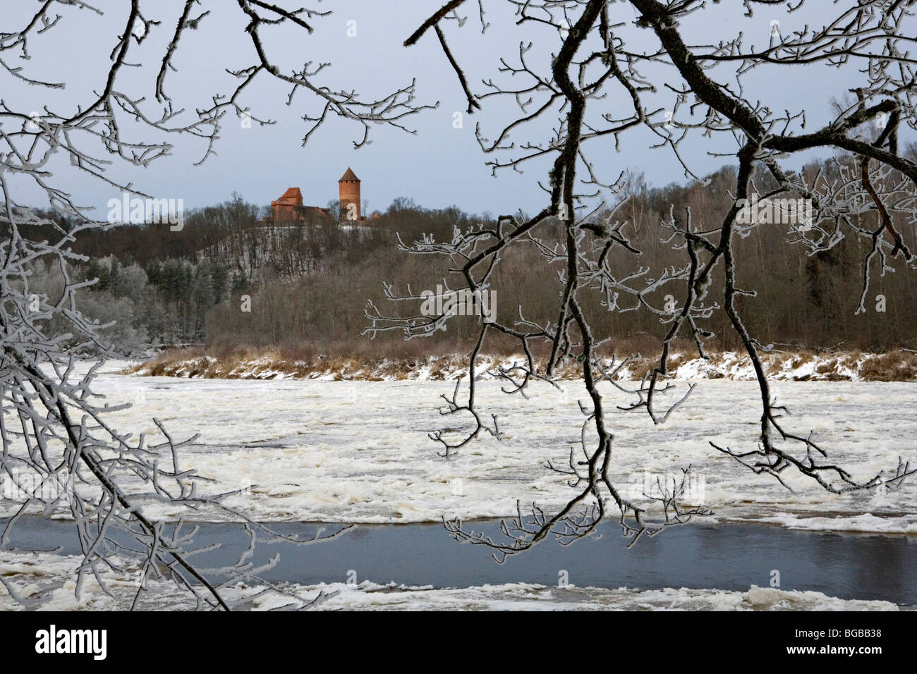 Turaida castle seen over Gauja river in Gauja National Park Vidzeme ...
