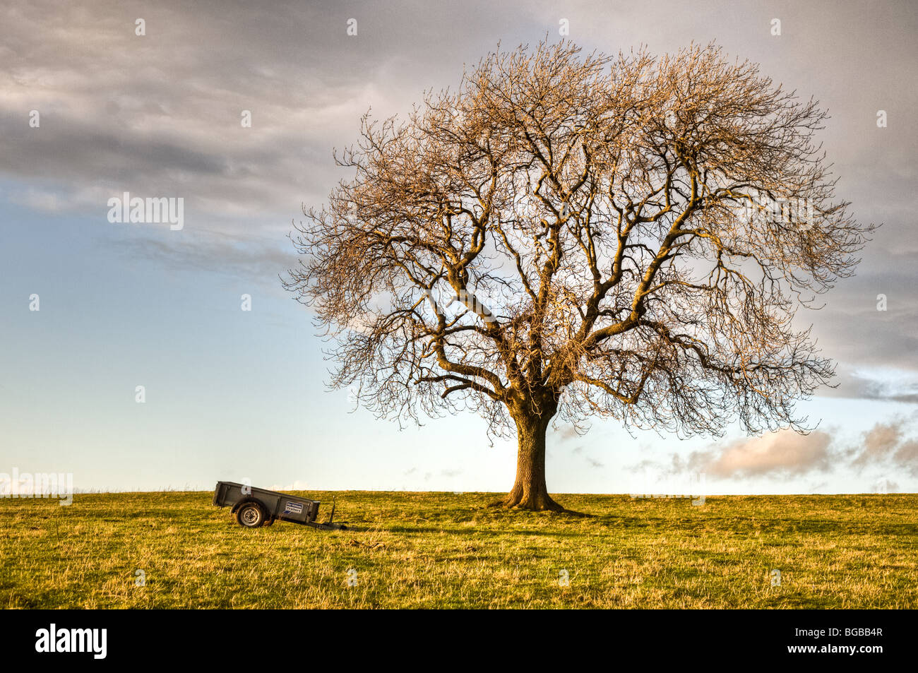 Tree and farmer's trailer Stock Photo - Alamy