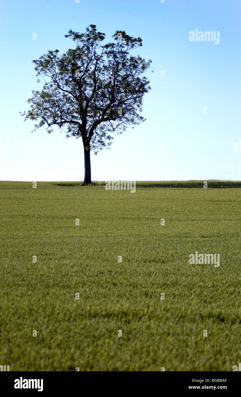 British landscape photograph hi-res stock photography and images - Alamy