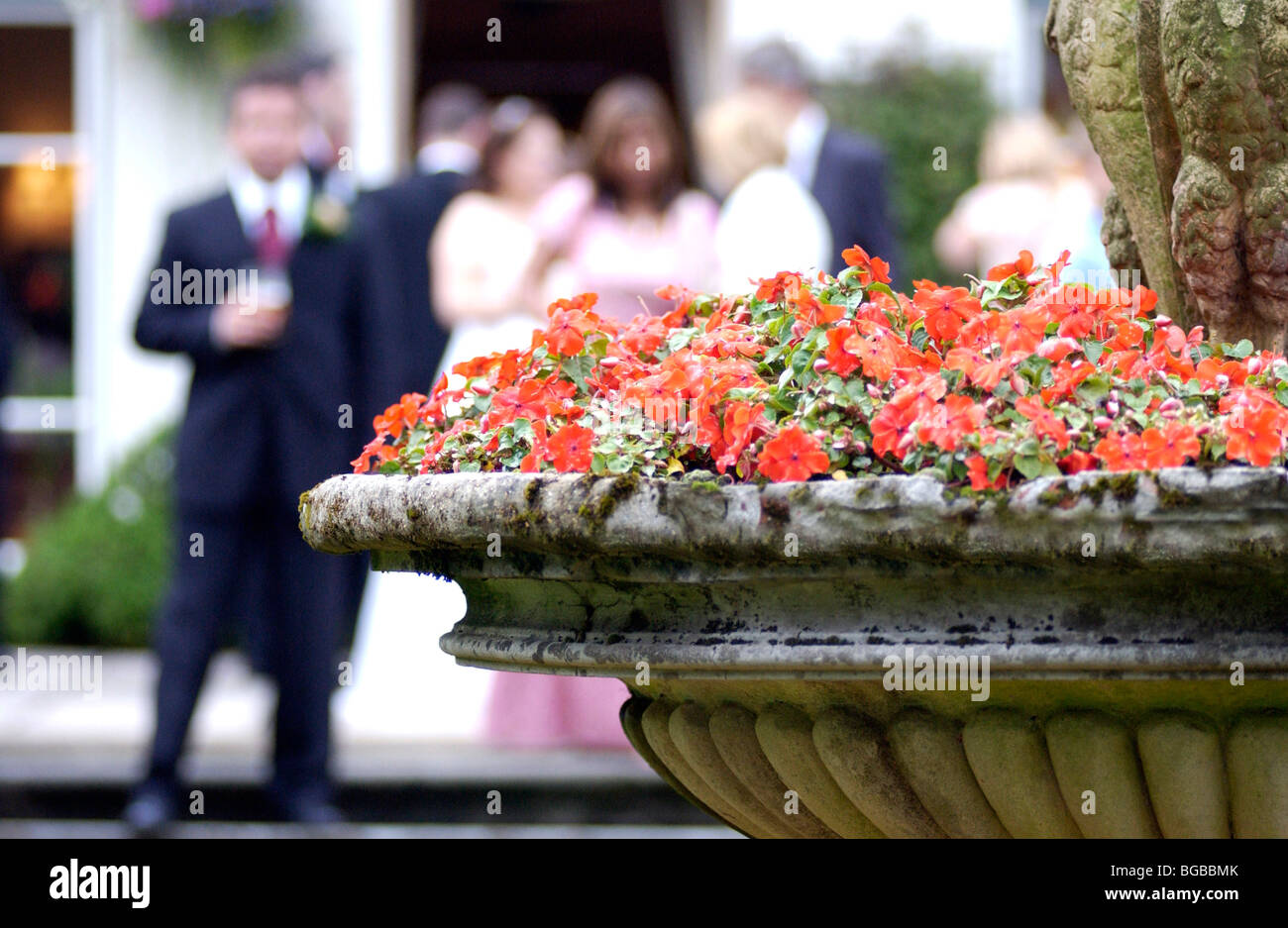 Royalty free photograph of traditional flower pot in a garden with a ...
