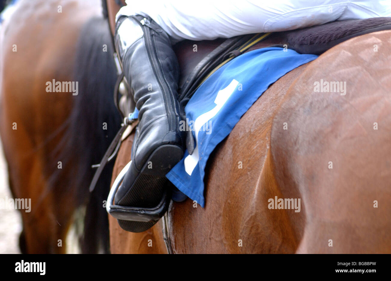 Royalty free photograph of boots saddle stirrup jockey foot on race day ...