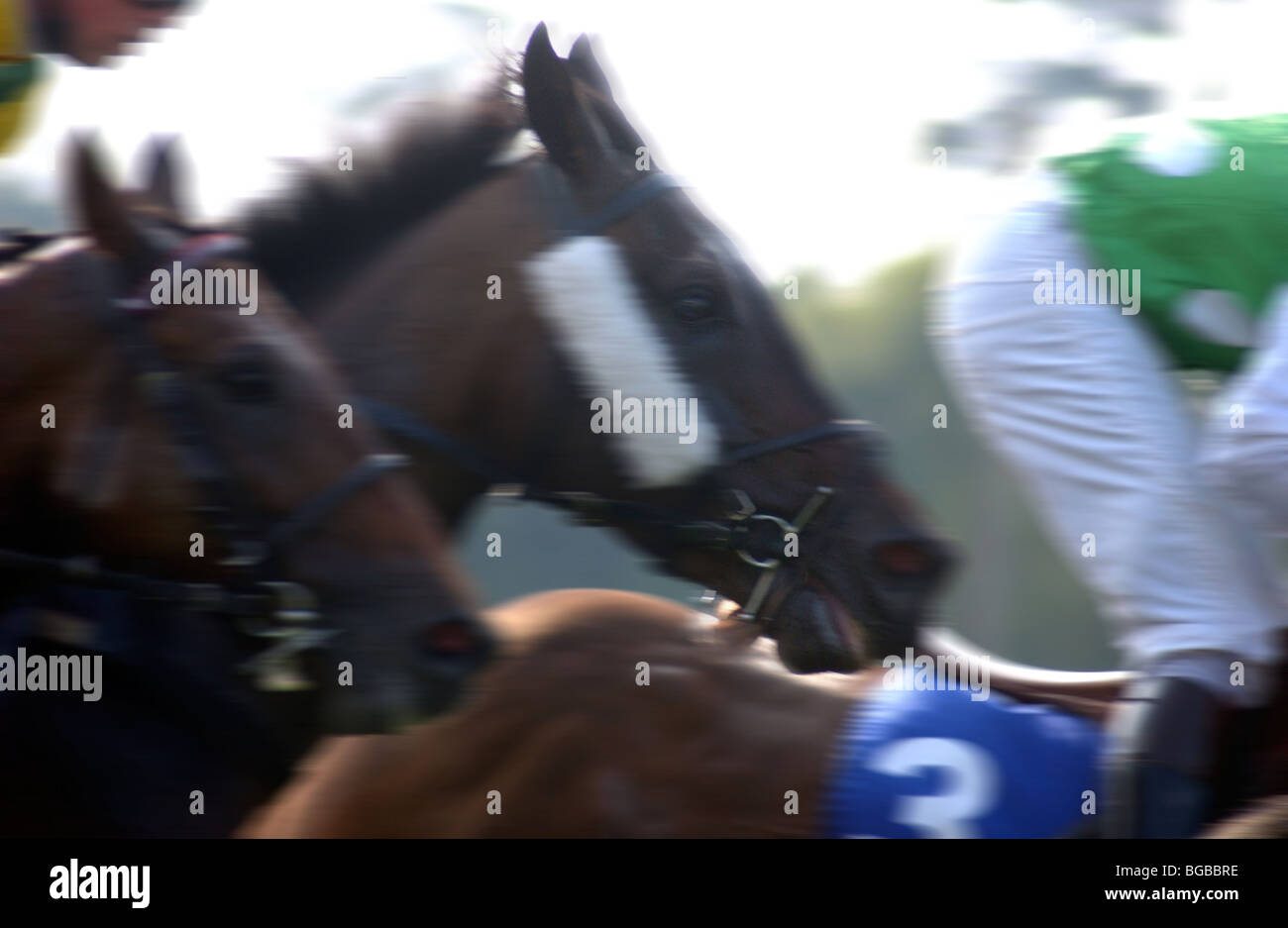 Royalty free photograph of horse race close up of horses running past ...