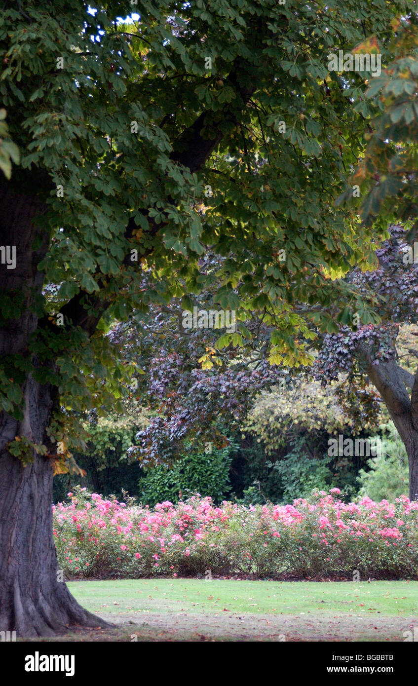 British park hi-res stock photography and images - Alamy