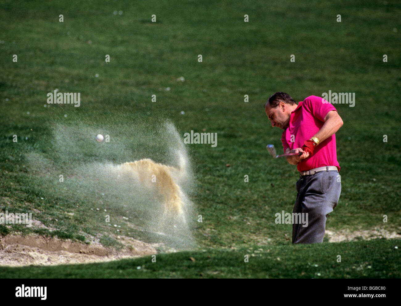 Golfer chips the ball out of the bunker Stock Photo - Alamy