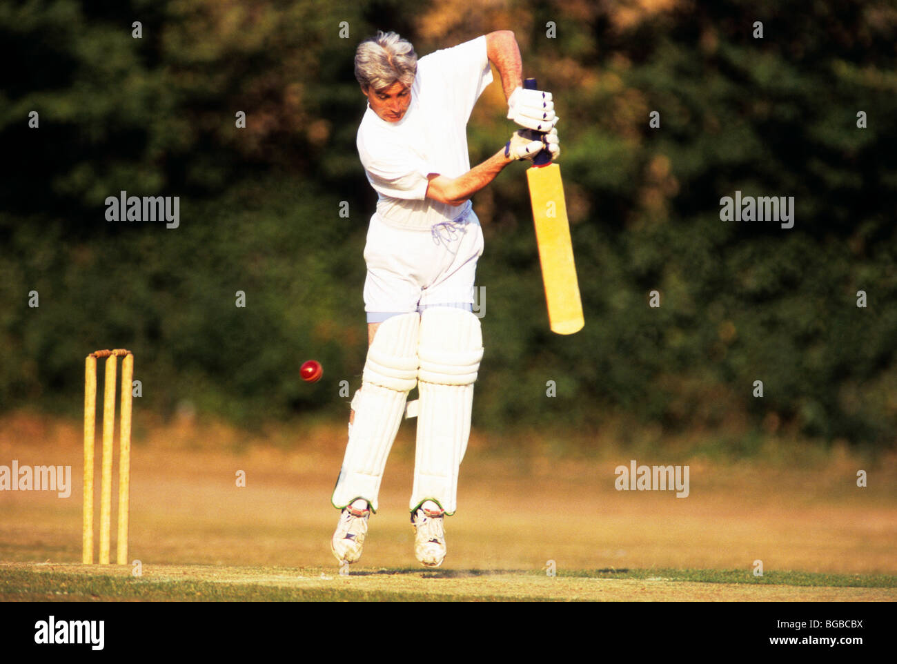Cricketer bats the ball Stock Photo - Alamy