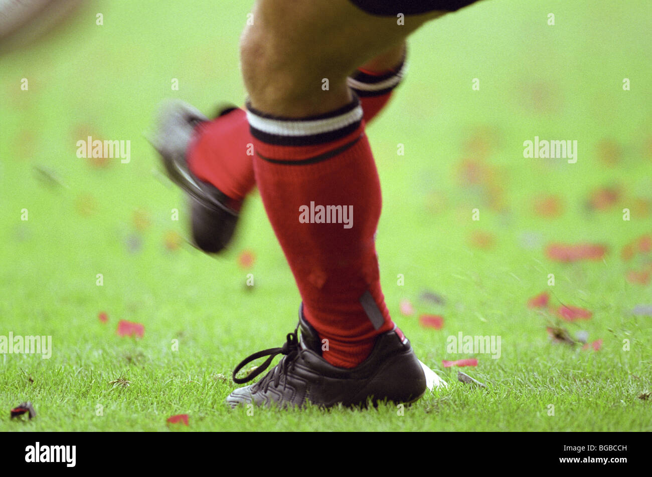 Rugby player kicking Stock Photo - Alamy