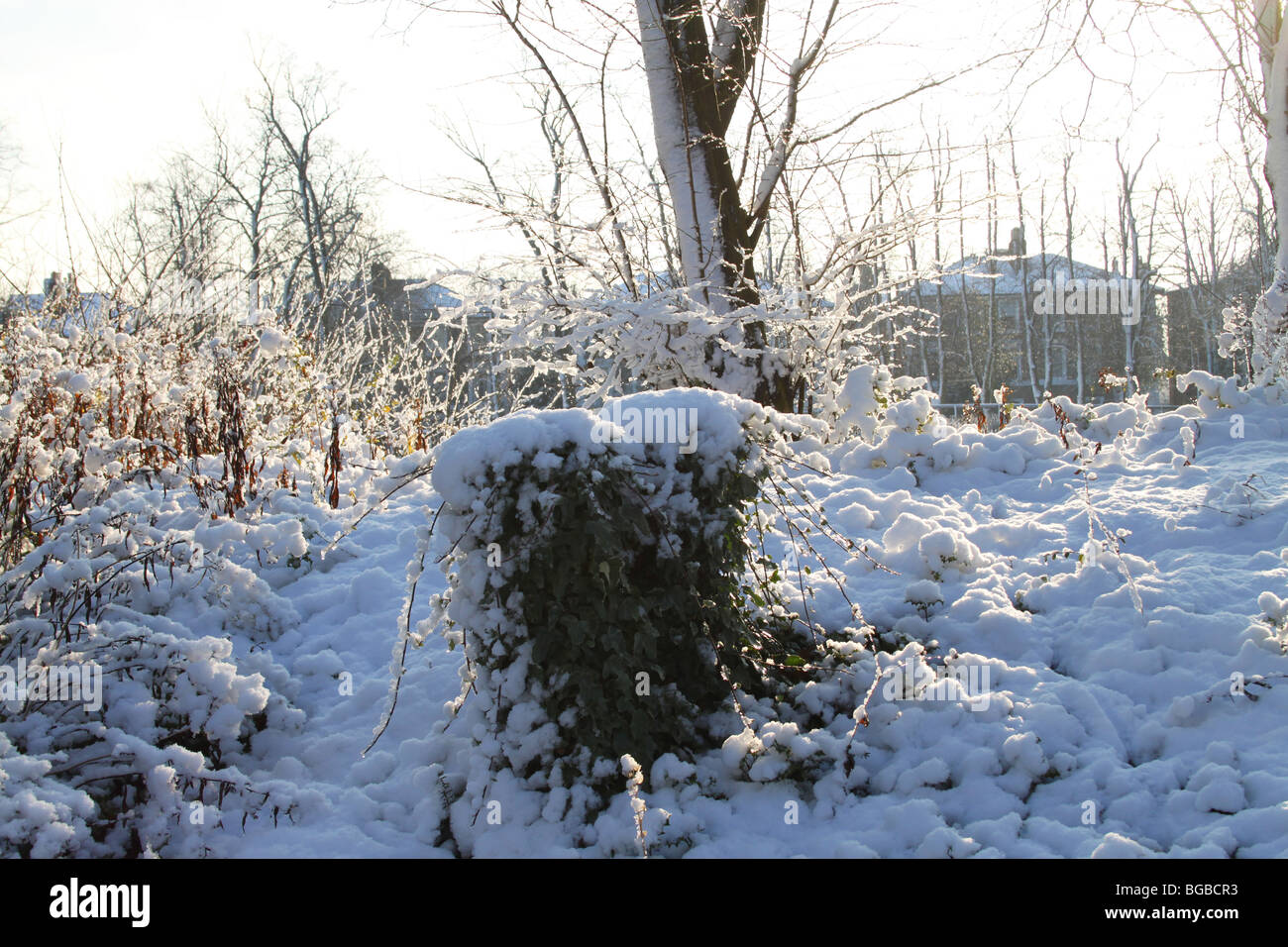 The stump london hi-res stock photography and images - Alamy