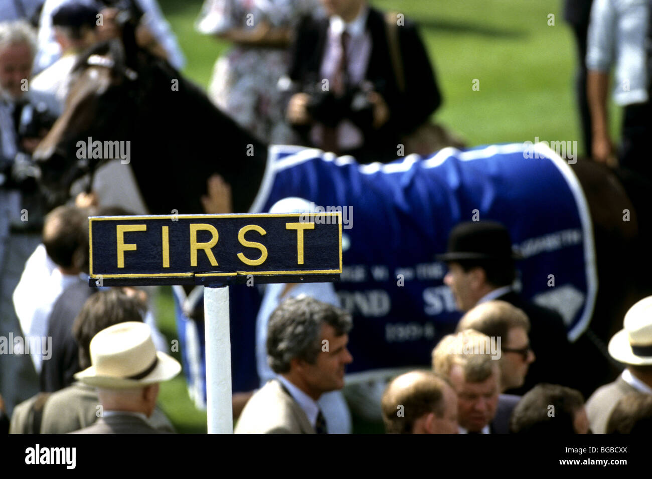 First horse hi-res stock photography and images - Alamy