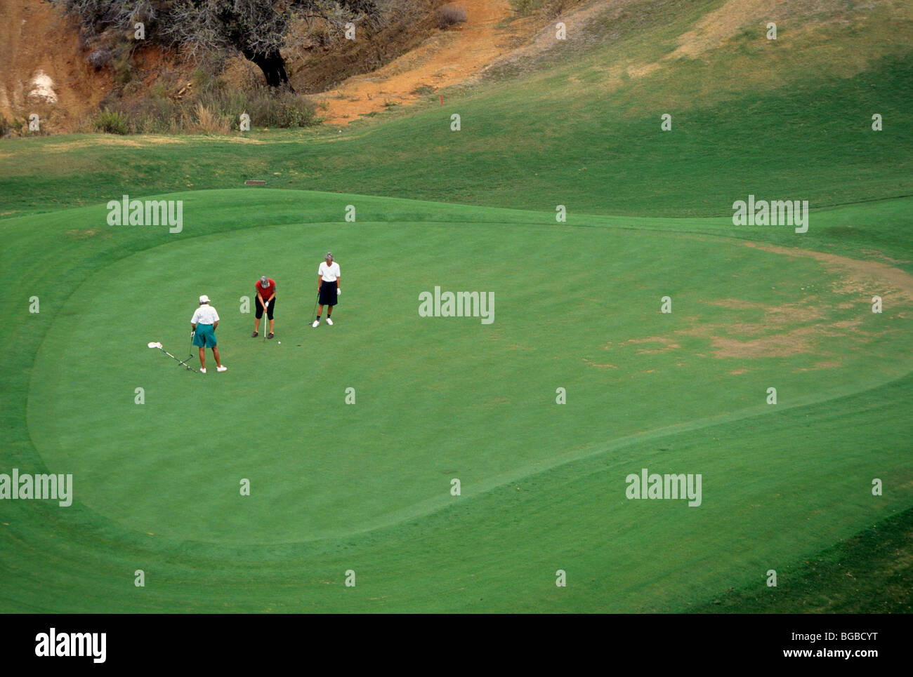 Golfers on a golf course Stock Photo - Alamy