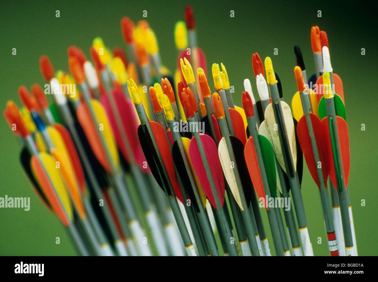 Close up of archery arrows Stock Photo - Alamy