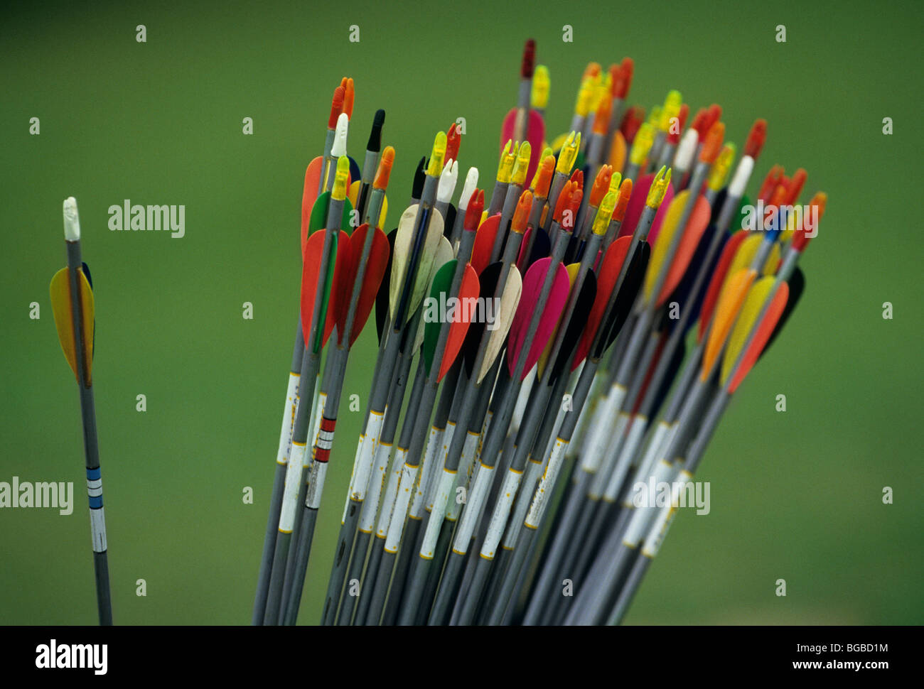 Archery Arrows High Resolution Stock Photography and Images - Alamy
