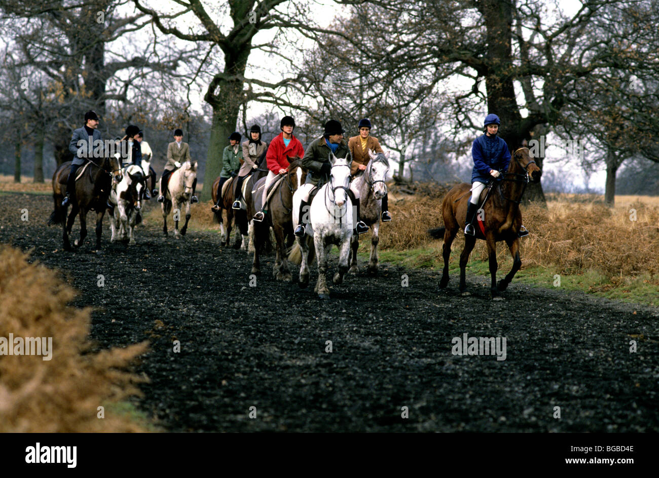Seven men horse hi-res stock photography and images - Alamy