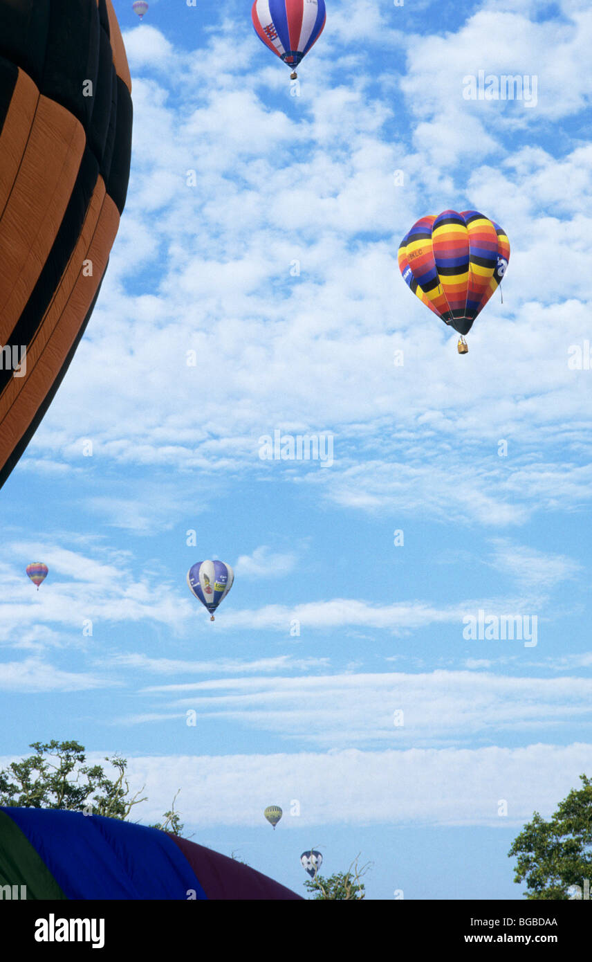 Hot air balloons in flight Stock Photo - Alamy