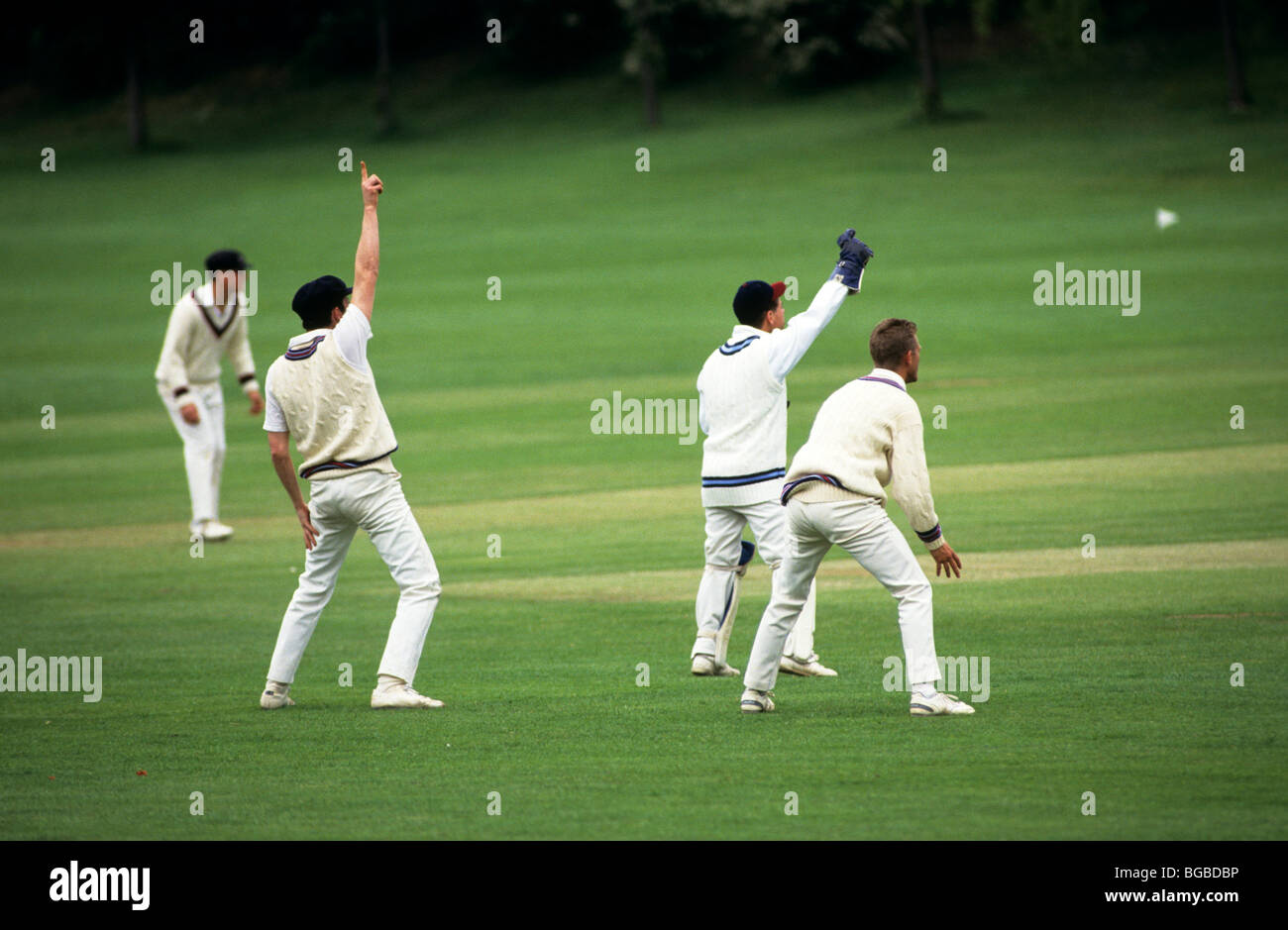 Cricketers playing hi-res stock photography and images - Alamy