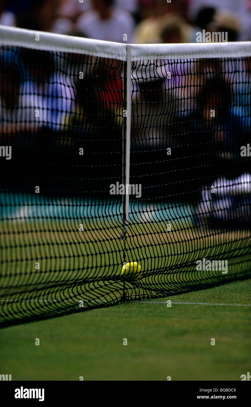 Stuck in the net hi-res stock photography and images - Alamy